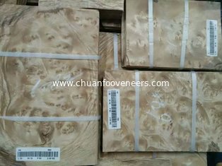 China Mappa Burl Veneer supplier