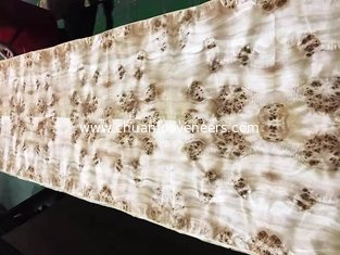 China 0.5mm Full Sheet Mappa Veneer with Paper Back for Furniture Usage supplier
