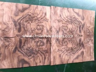 China 0.6mm Good Quality Walnut Burl Veneer for Furniture/Cabinet usage supplier