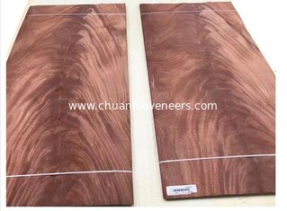 China 0.6mm Mahogany Crotch Veneer for Furniture/ Wood Doors /Cabinetry/ Yacht supplier