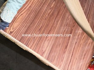 China 0.5mm Crown Cut Santos Veneered Plywood for Cabinet/Furniture Usage supplier