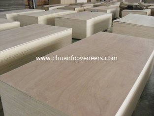 China 18mm Full Birch Plywood for Furniture Usage supplier