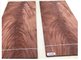 0.6mm Mahogany Crotch Veneer for Furniture/ Wood Doors /Cabinetry/ Yacht supplier
