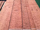0.6mm Sliced Sapelli Sapele Pommele Natural Wood Veneer for Furniture Plywood Architectural Woodwork and Interior Decora supplier